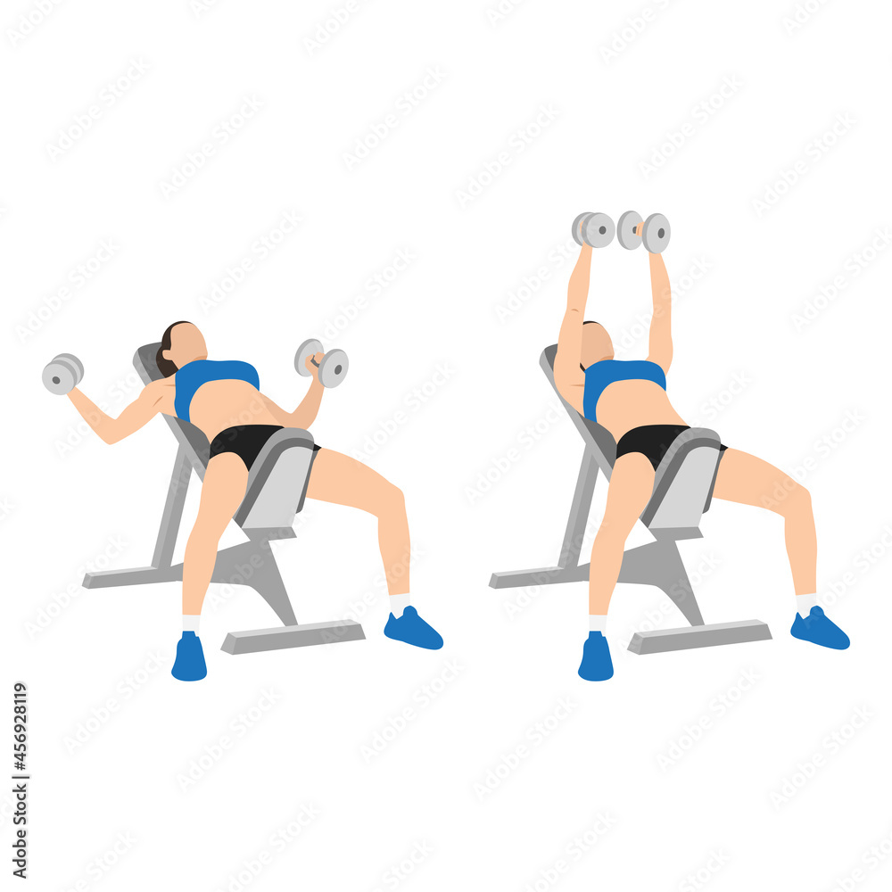 Woman doing Incline bench dumbbell flyes exercise. Flat vector ...