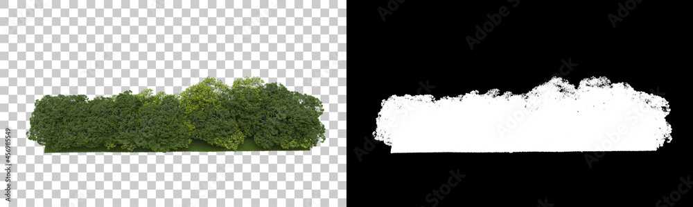 Forest isolated on background with mask. 3d rendering - illustration ...