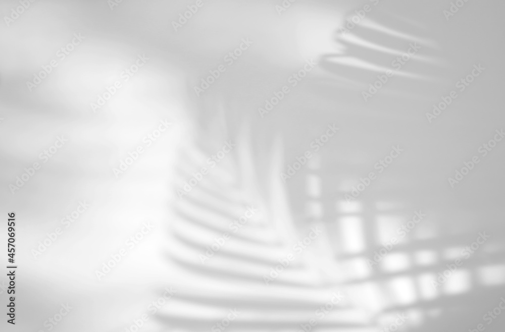 Realistic and organic tropical leaves natural shadow overlay effect on ...