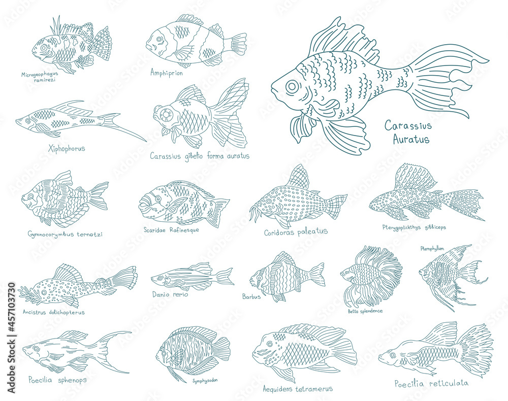 Vetor de Aquarium fish set. Collection of marine animals. Vector ...