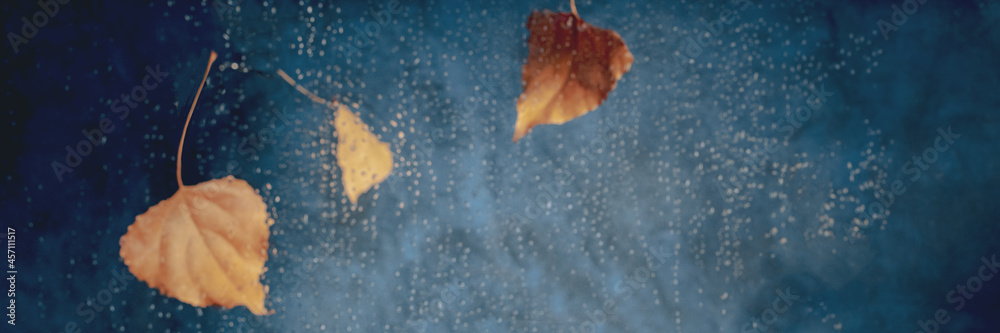 Autumn rain panorama, abstract background with raindrops and copy space ...