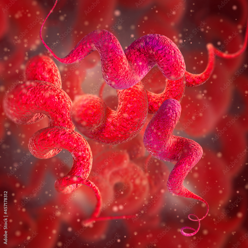 Medical background, Campylobacter spiral gram-negative microaerophilic ...