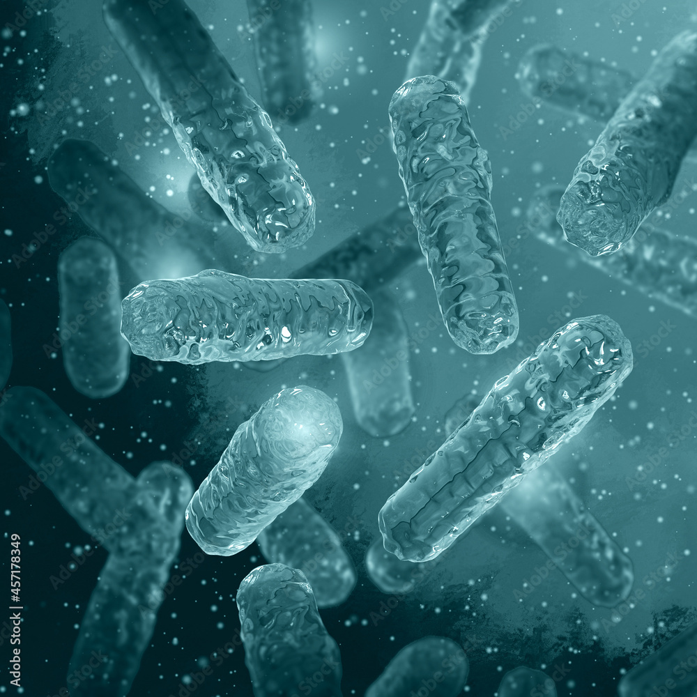 Medical background, Shigella gram-negative immobile rod-shaped bacteria ...