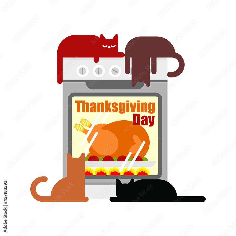 Thanksgiving Technology