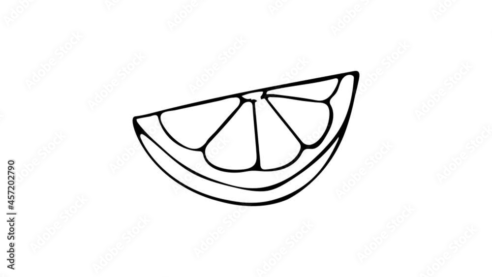 Doodle animation of lemon slice. Line drawing video of lemon. Drawing ...