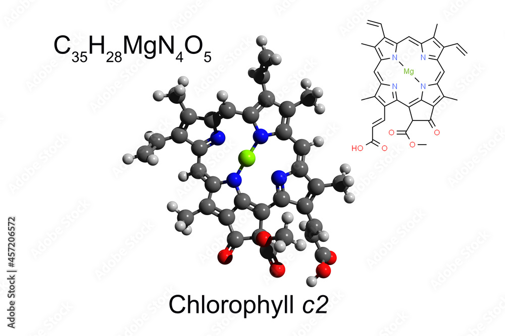 Chemical formula, skeletal formula, and 3D ball-and-stick model of the ...