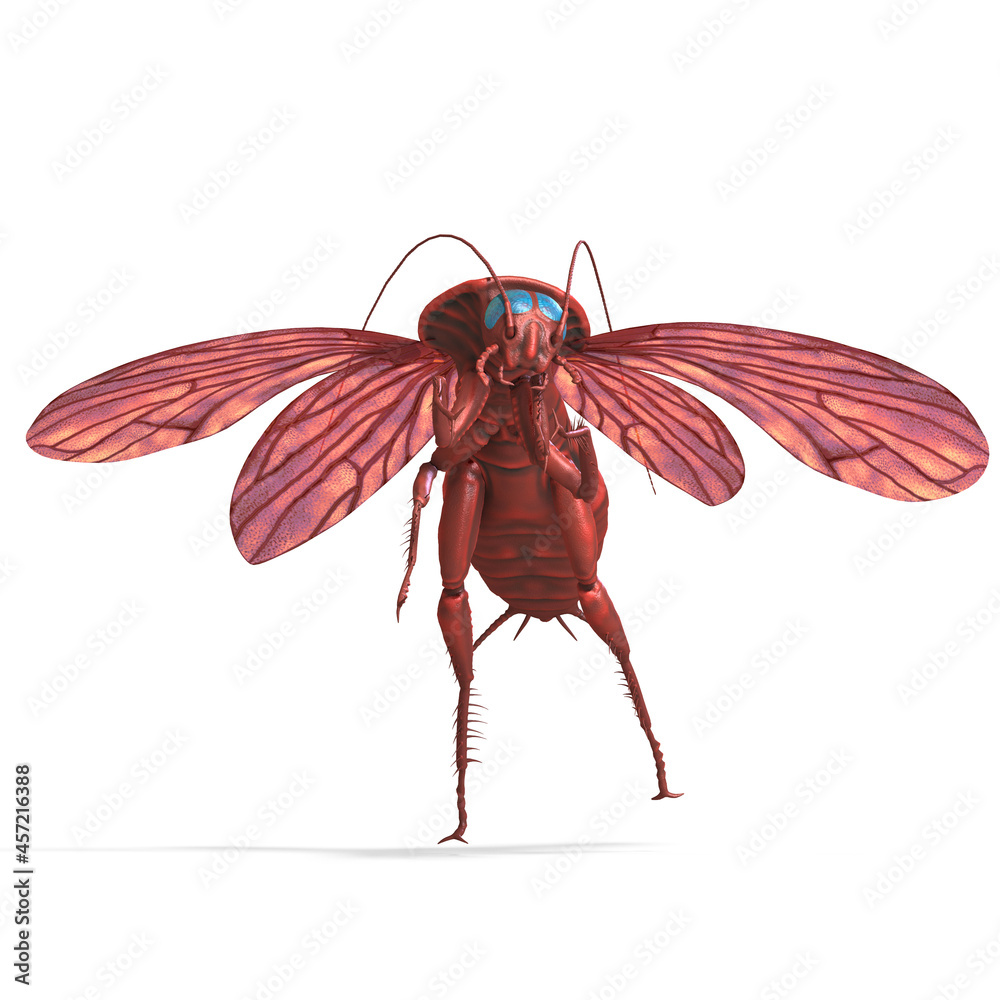 3D-illustration of a creepy cartoon cockroach. isolated rendering ...