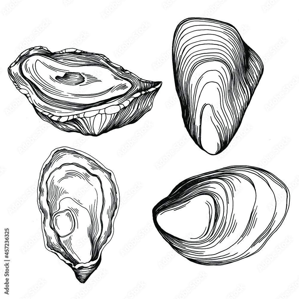 Oysters vector with engraving style illustration of logo or emblem for ...