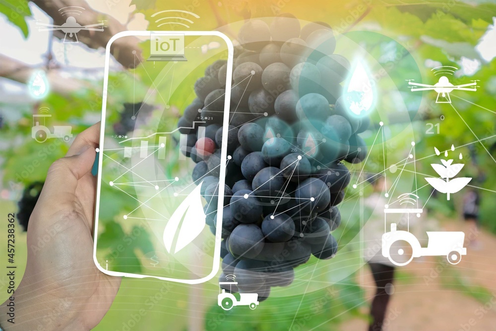 Farmer farming vegetables and plant using modern AI technology using ...