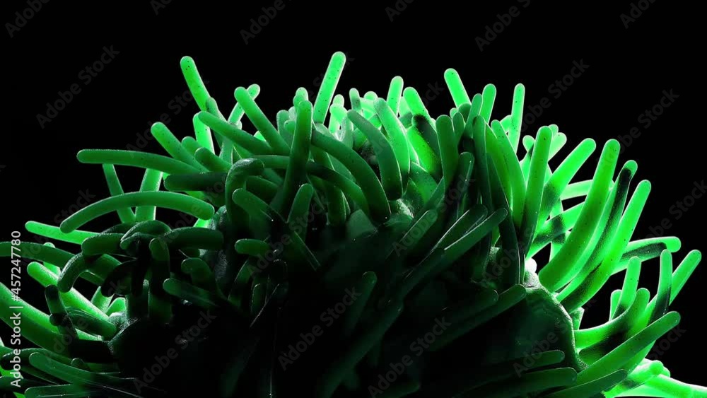 Video „3D rendering of an abstract sea anemone, green algae moving ...