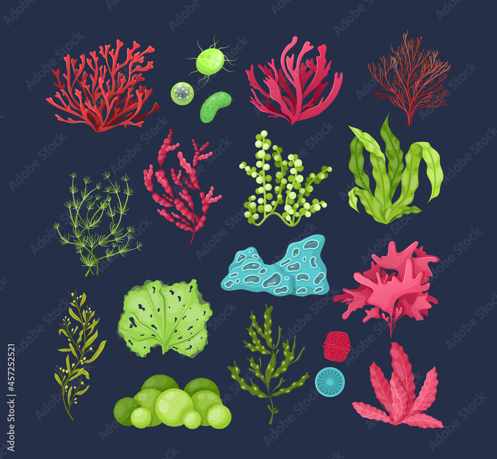 Underwater marine flora set. Marine aquarium flora, aqua plants, coral ...