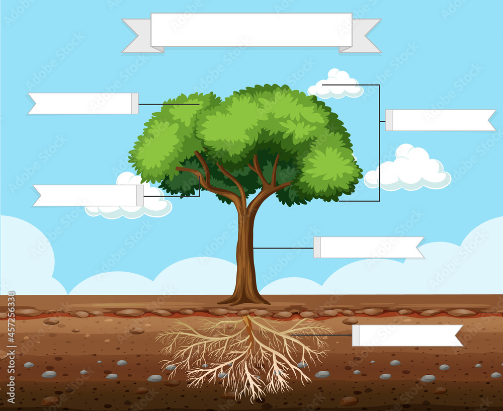 Write parts of a tree worksheet for kids Stock Vector | Adobe Stock