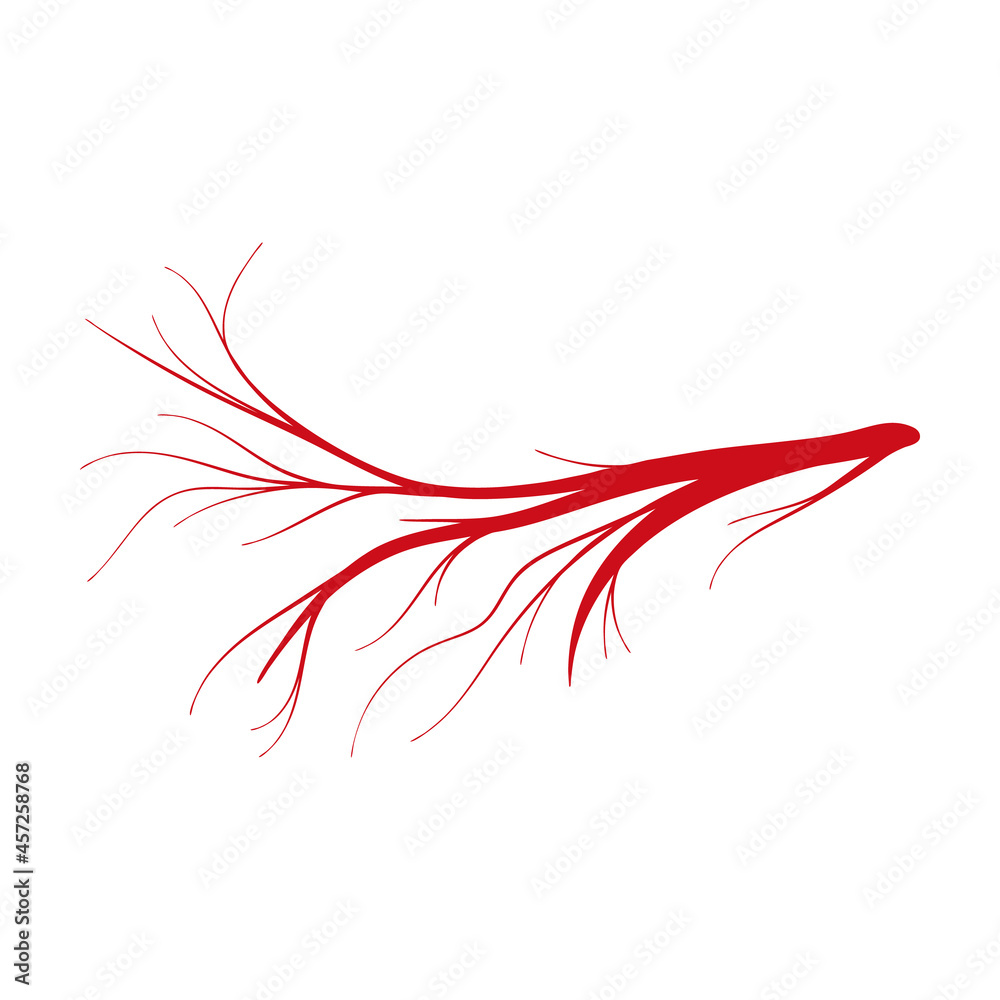 Vein of human vector cartoon icon. Vector illustration artery of blood ...