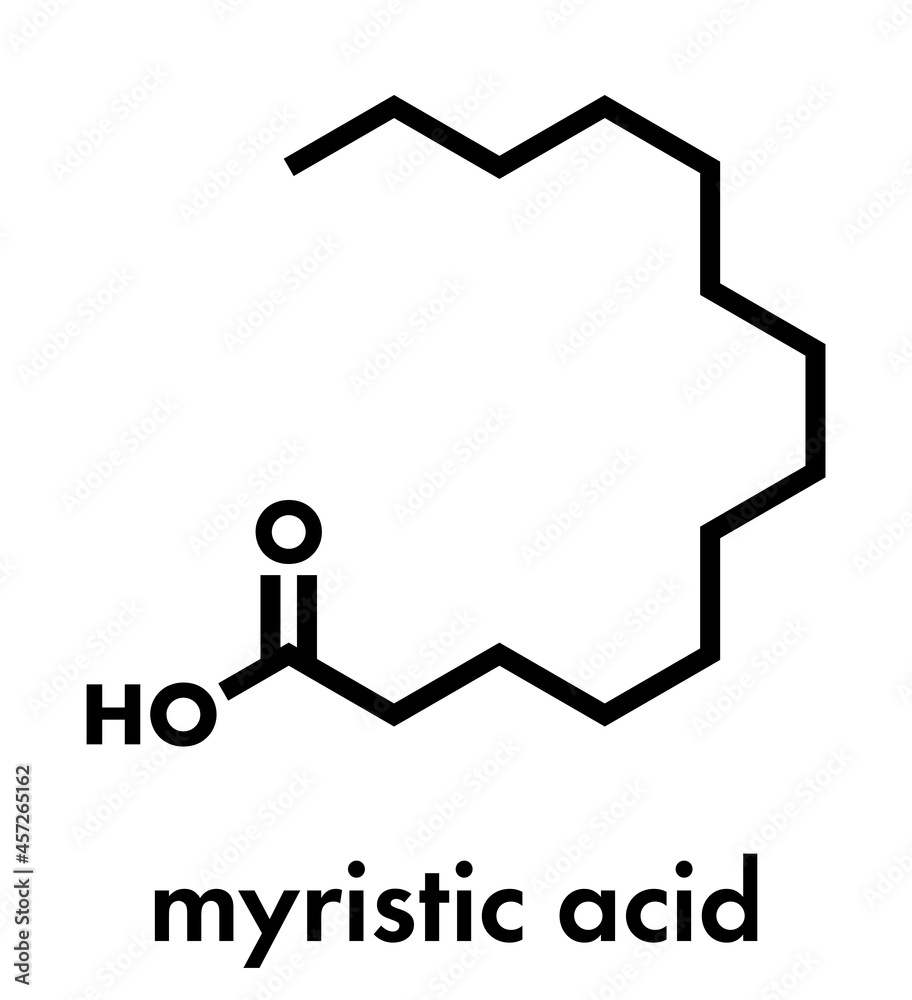 Myristic (tetradecanoic) acid saturated fatty acid molecule. Skeletal ...