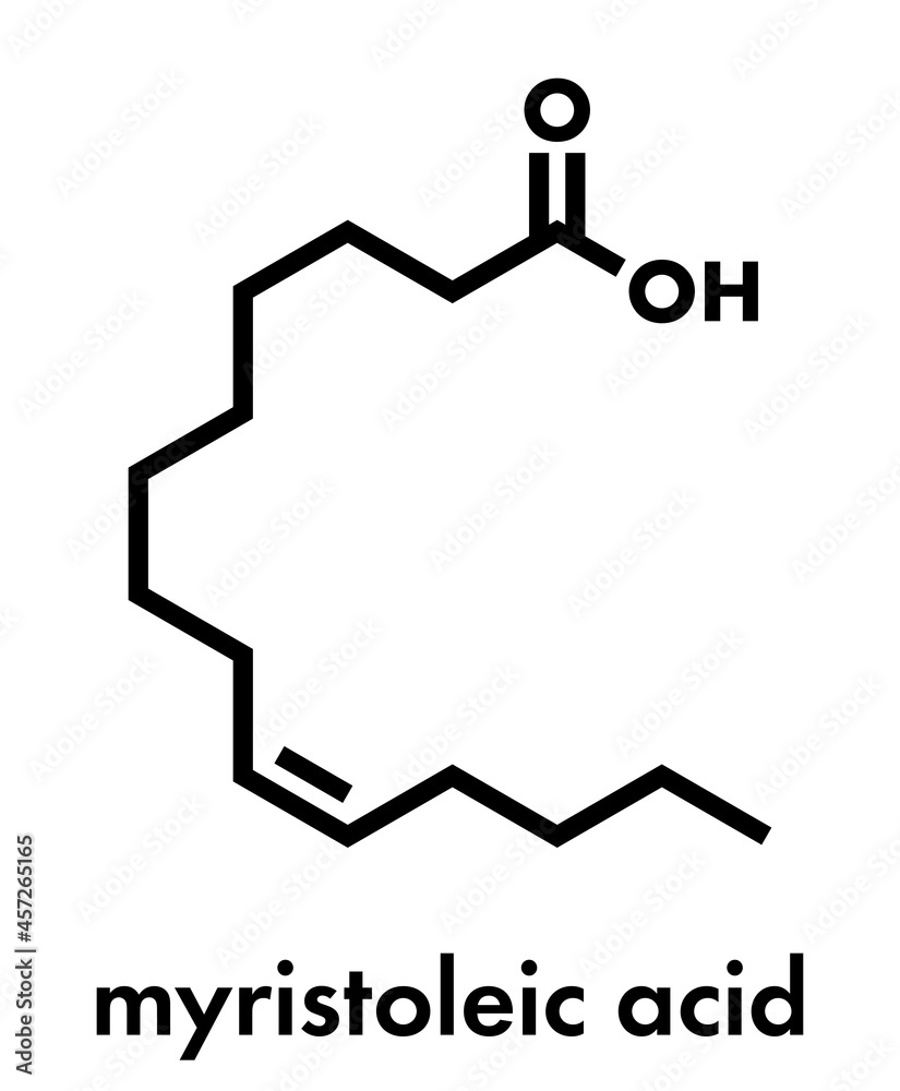 Myristoleic acid (omega-5) fatty acid molecule. Skeletal formula. Stock ...