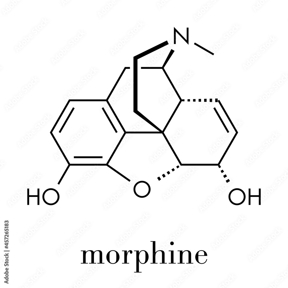 Morphine pain drug molecule. Highly addictive. Isolated from opium ...