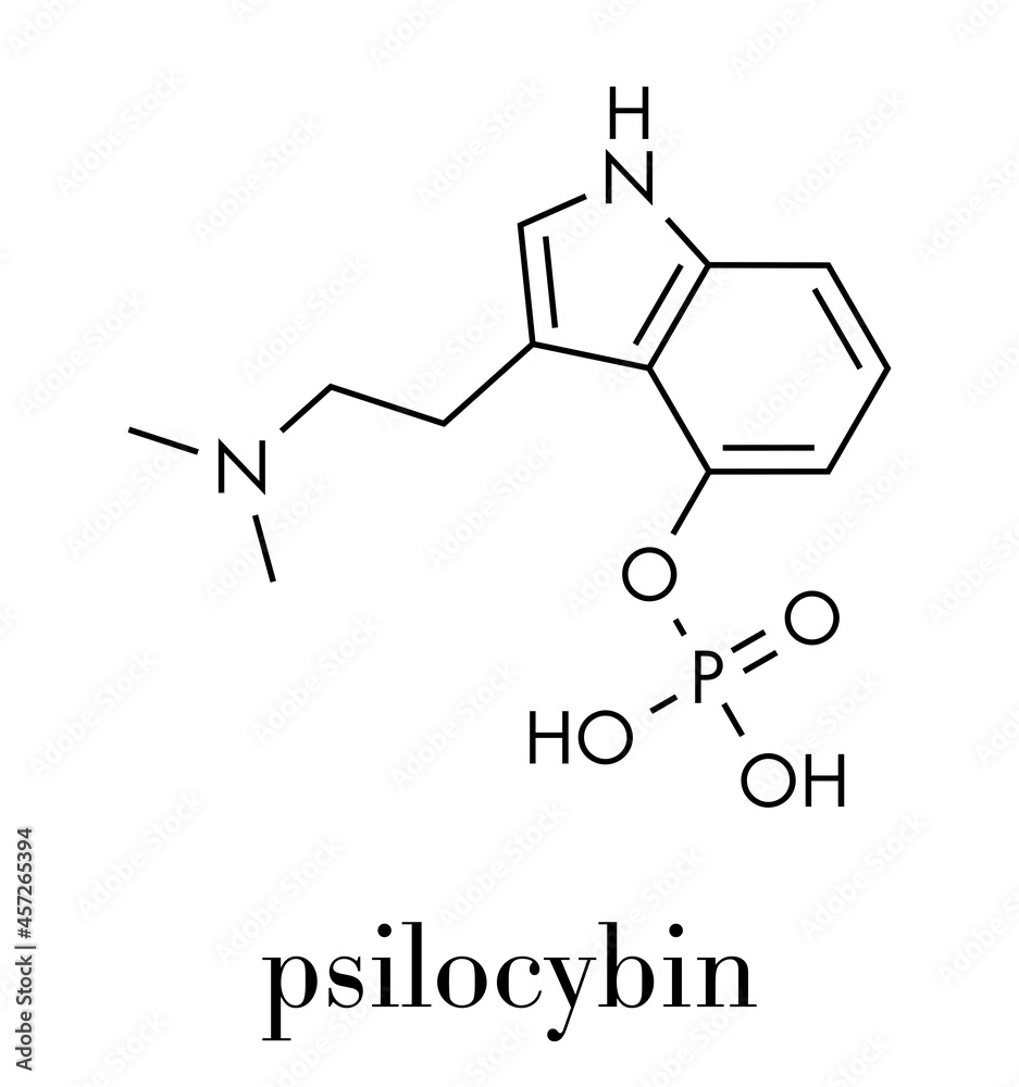 Psilocybin psychedelic mushroom molecule. Prodrug of psilocin. Skeletal ...