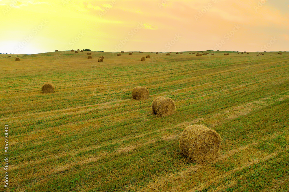 Haystack in field on sunset. Hay bale from residues grass. Hay stack ...
