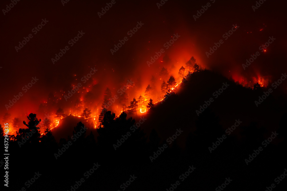 Night view of a forest fire in a steep rocky terrain. Flames, sparks ...