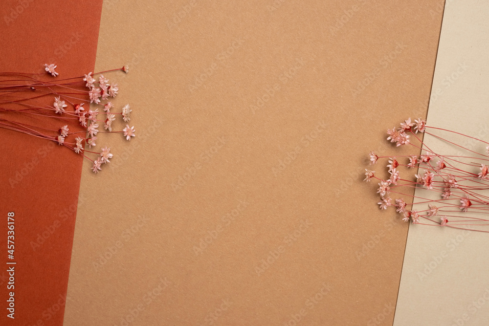 Dry flower branch on a light brown background. Trend, minimal dried ...