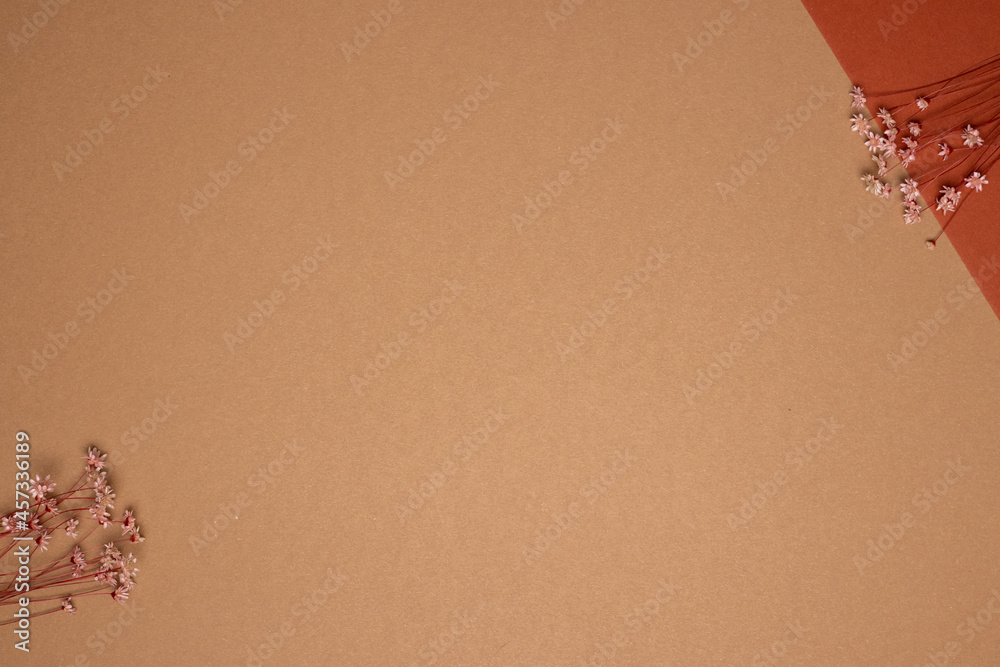 Dry flower branch on a light brown background. Trend, minimal dried ...