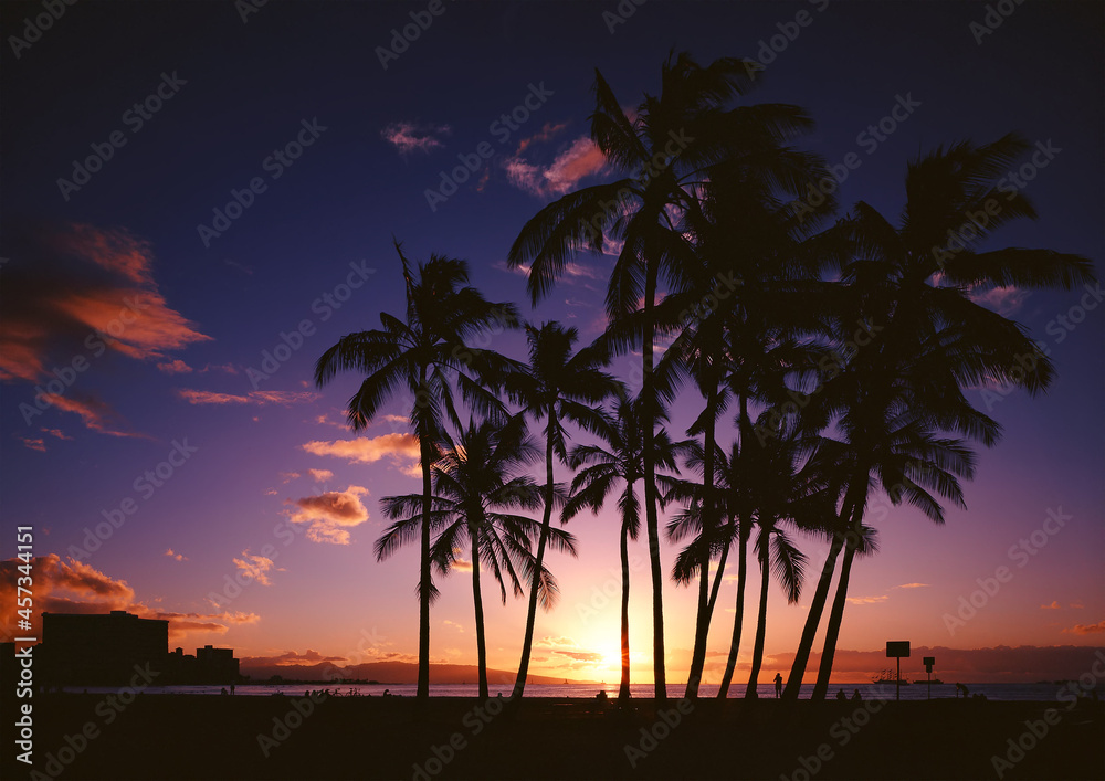 Abstract Sunlight on Beach, Trees on Beach under Dramatic Sky, Park and ...