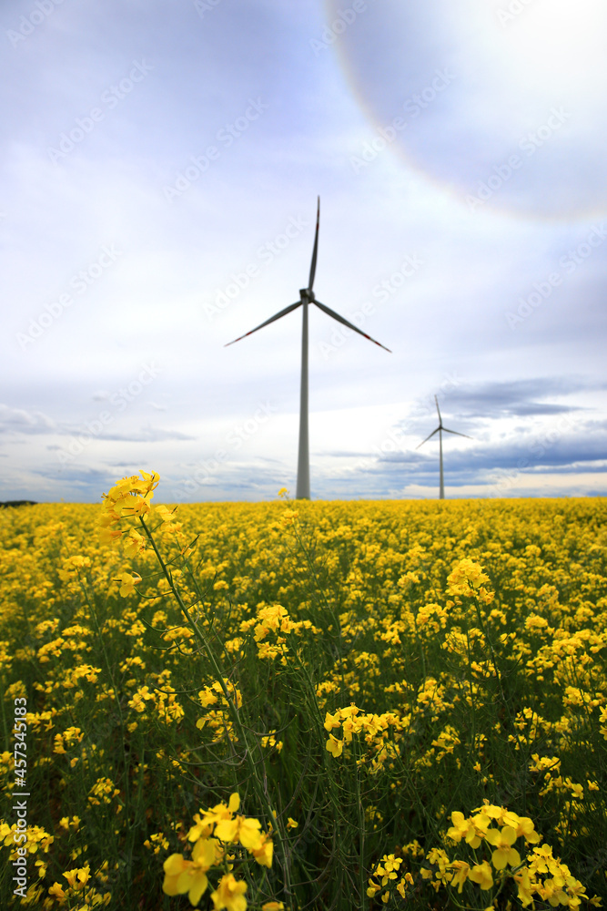 The Halo effect is an optical phenomenon in the Earth's atmosphere that ...