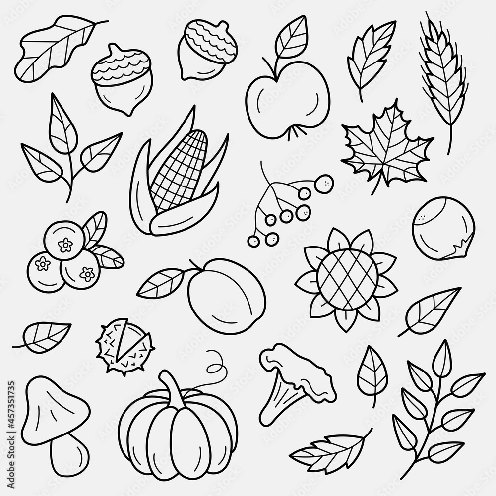 Fall Harvest Drawing