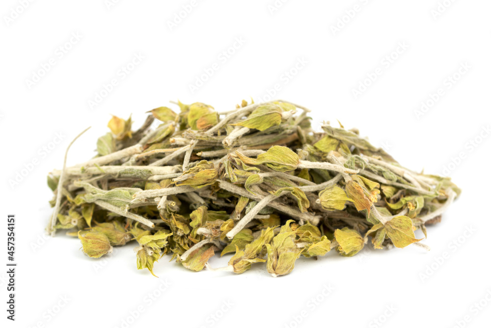 dried fresh Albania Mountain Tea - Caj Mali - Sideritis Raeseri Stock ...