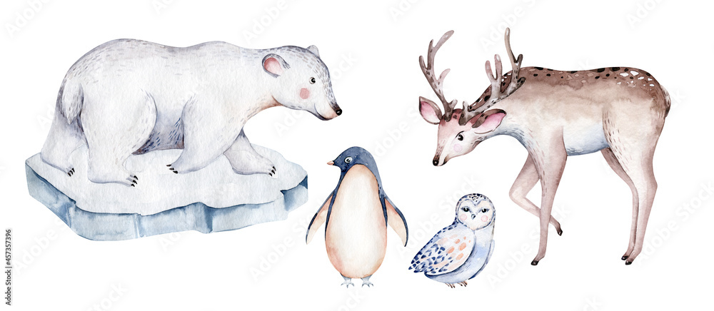 polar arctic animals watercolor collection. snowy owl. reindeer and ...