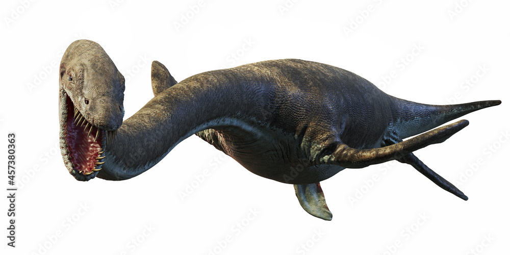 Elasmosaurus, genus of plesiosaur from the Late Cretaceous period ...