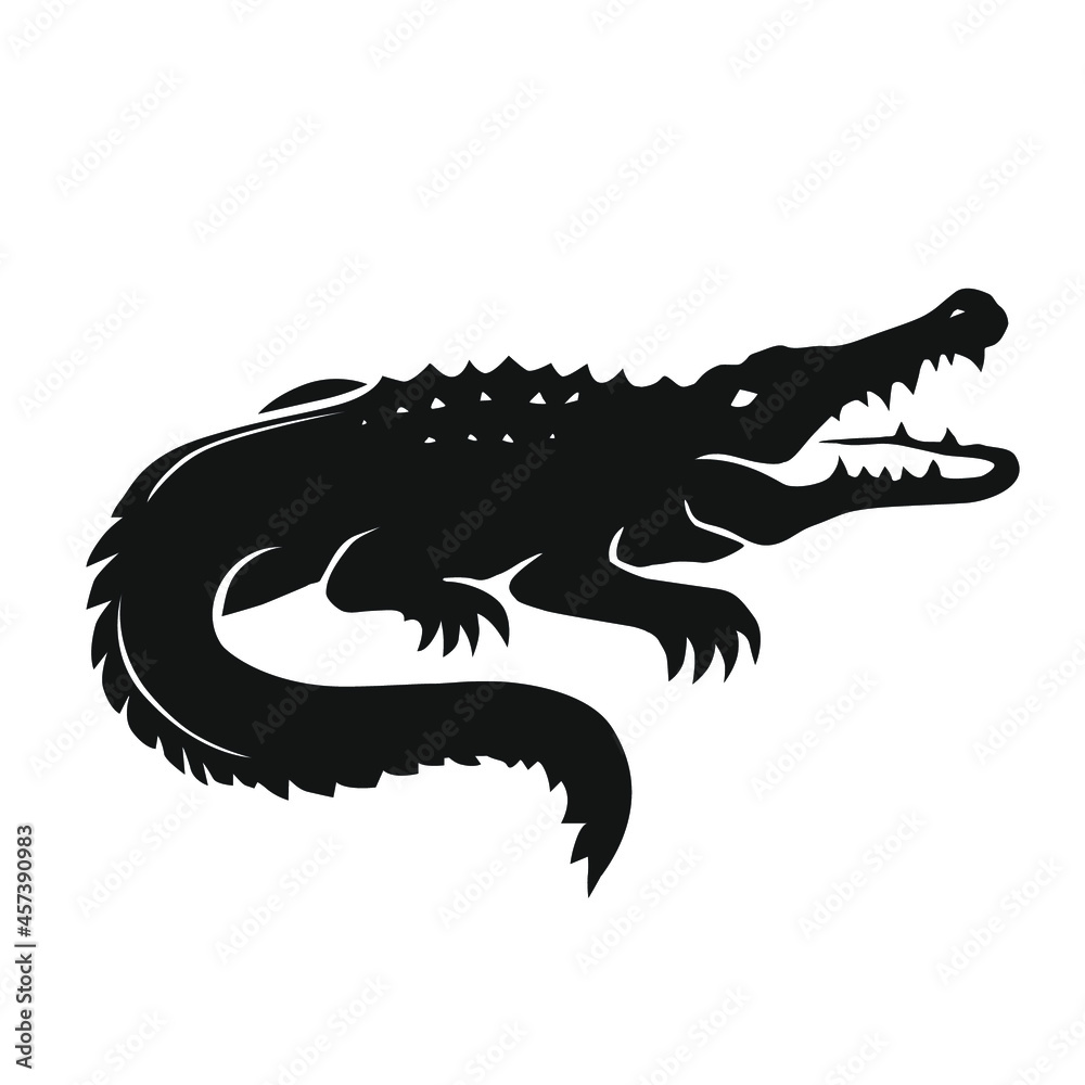 Alligator isolated on white. Vector illustration. Stock Vector | Adobe ...
