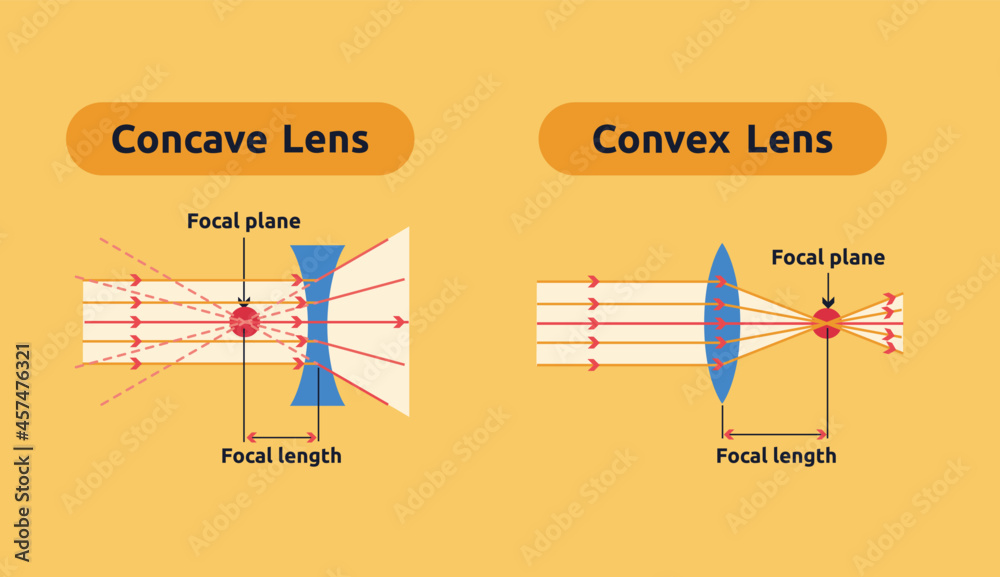 vector illustration of concave lens and convex lens Stock Vector ...
