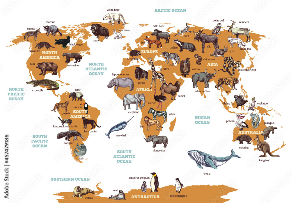 Animal world map with hand drawn animals. Vector illustration Stock ...