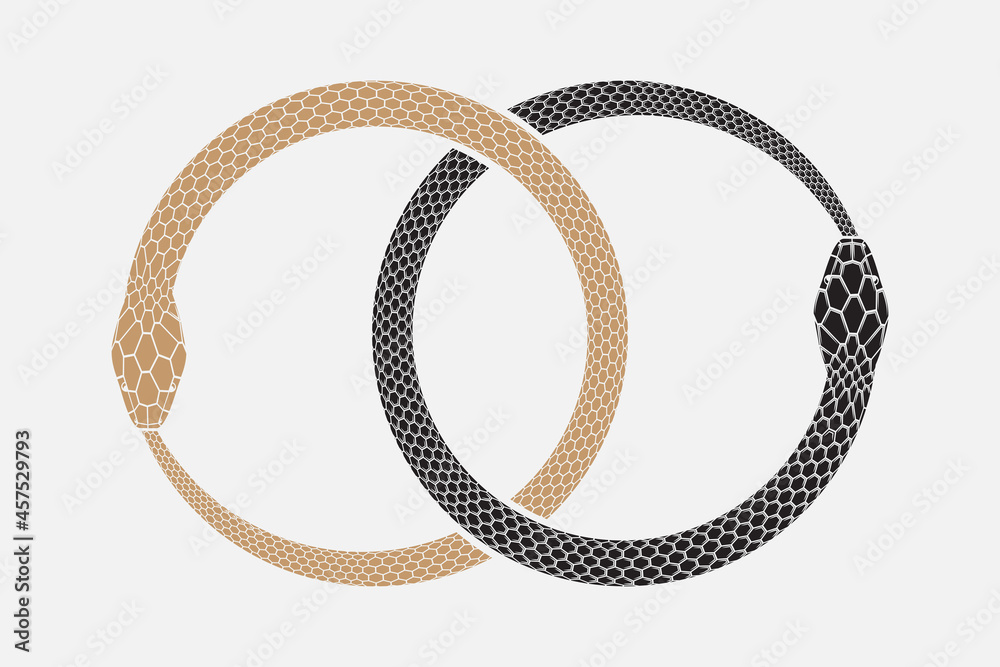 Ouroboros, symbol of infinity. Mythology design element. Vector ...