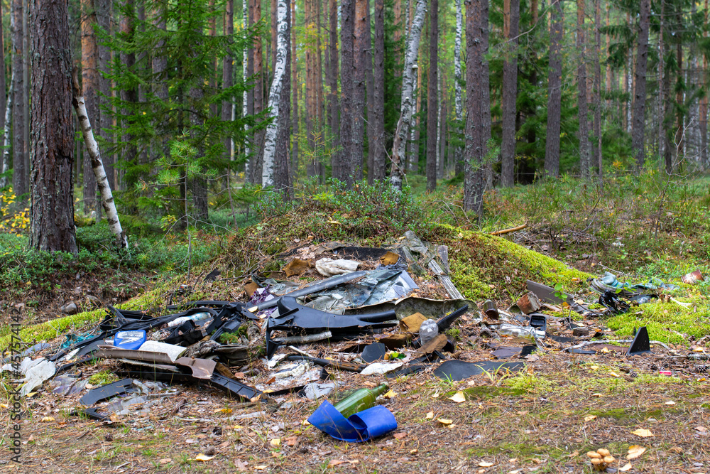 garbage in the forest, landfill, ecology, forest pollution. Dispose of ...