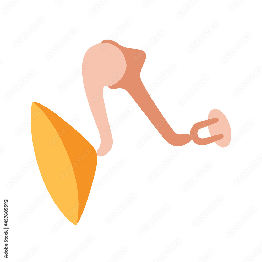 Inner ear anatomy Stock Vector | Adobe Stock