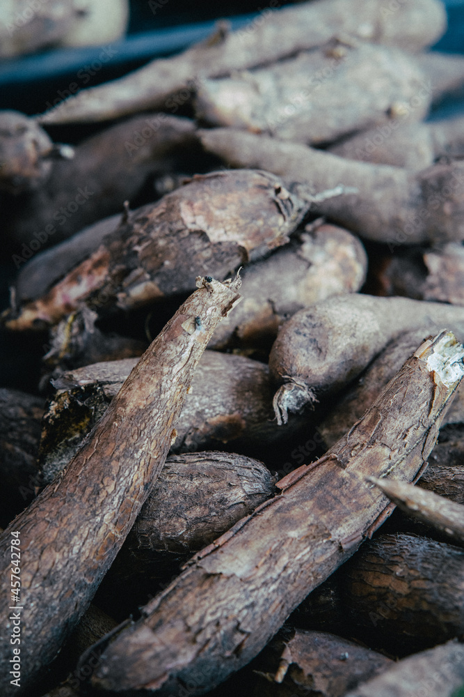 Cassava, also called manioc, yuca, balinghoy, mogo, mandioca, kamoteng ...