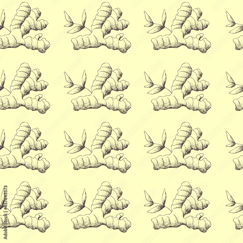 Hand drawn vintage outline ginger root seamless pattern. Isolated fruit ...