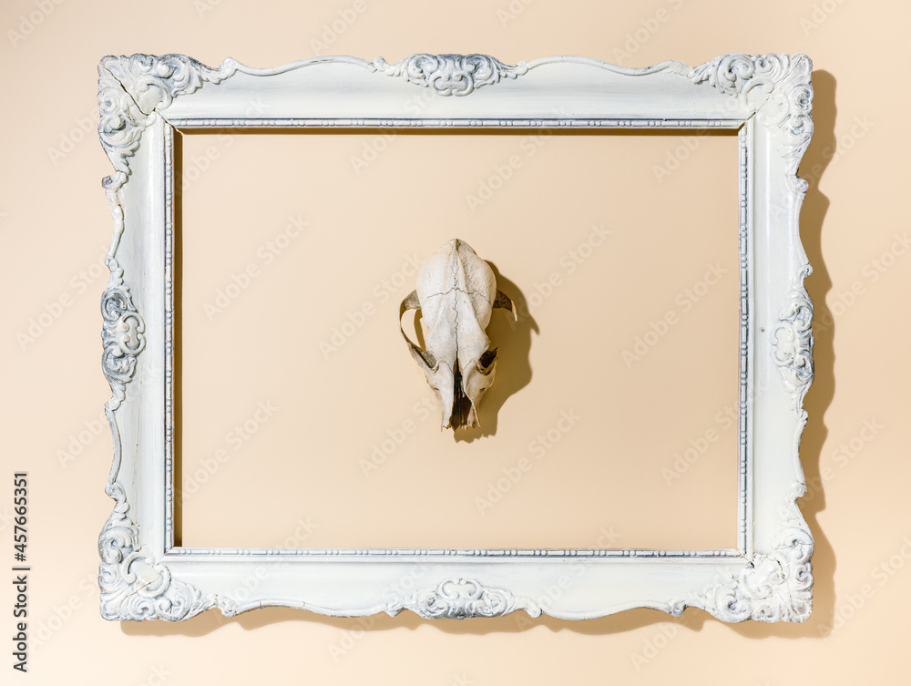 Vintage retro white picture frame with an animal skull head in the ...