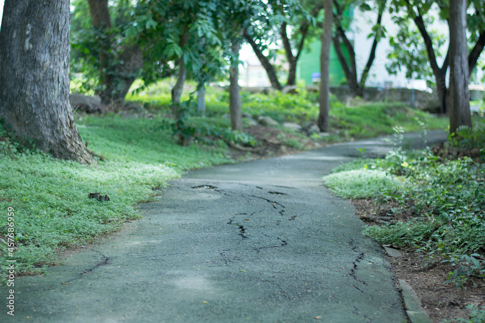 Foto de sidewalk looking like waves as the roots of a tree push them up ...