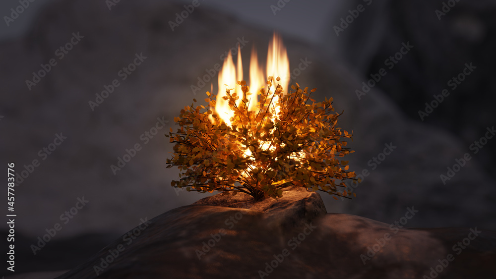 Burning Bush Bible