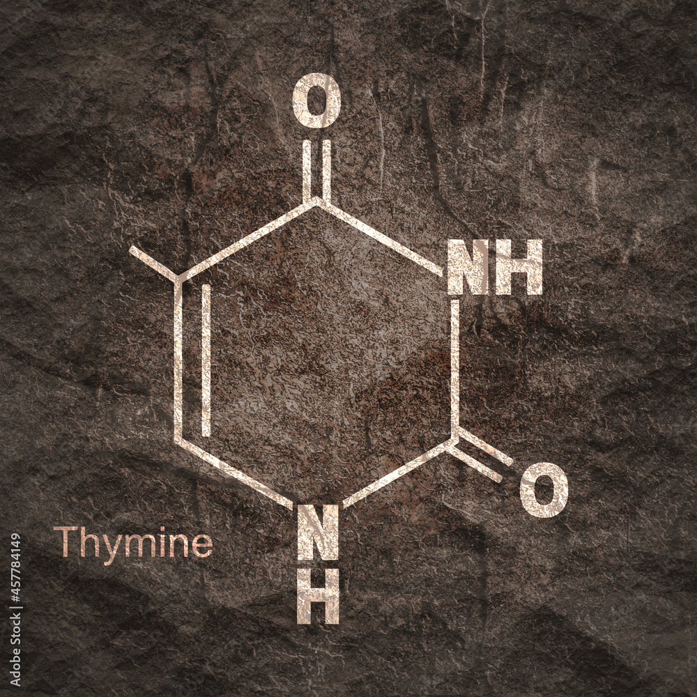 Chemical structural formula of thymine - DNA and RNA nitrogen base ...