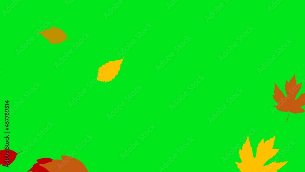 animated autumn leaves falling on green screen background. Ultra HD 4K ...