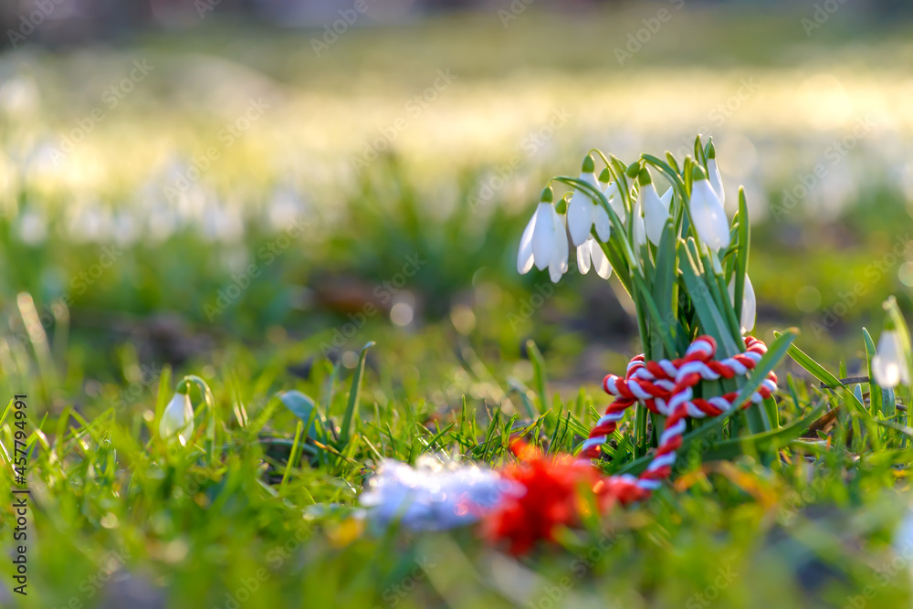 Martisor and snowdrops on wooden floor. 1st of March Romanian eastern ...