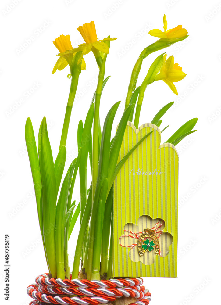 Martisor and daffodils on white background. 1st of March Romanian ...