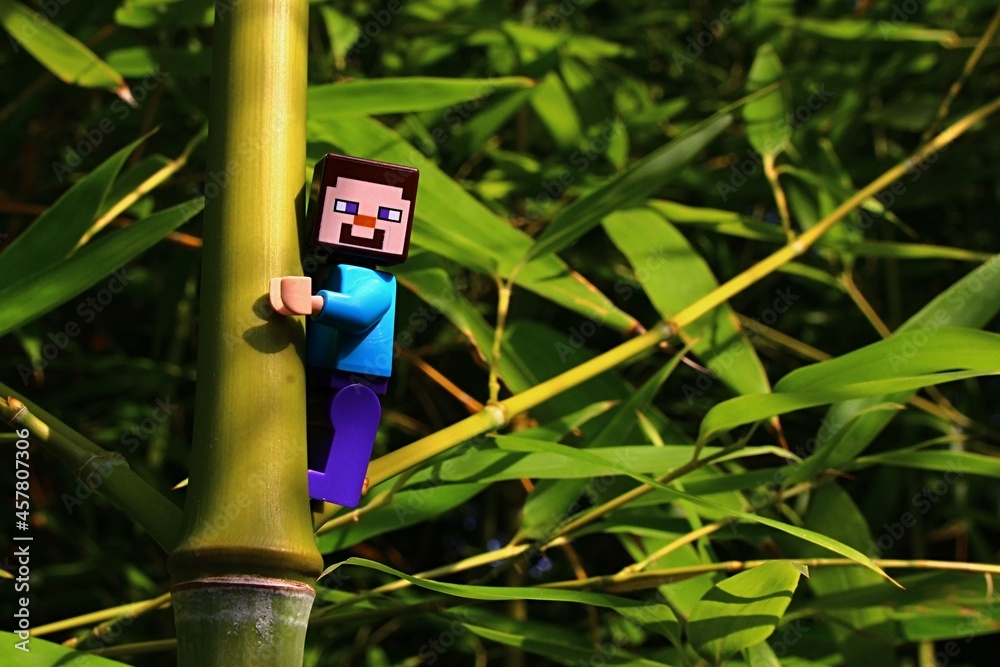 Figure of LEGO Minecraft character Steve climbing on Bamboo node near ...