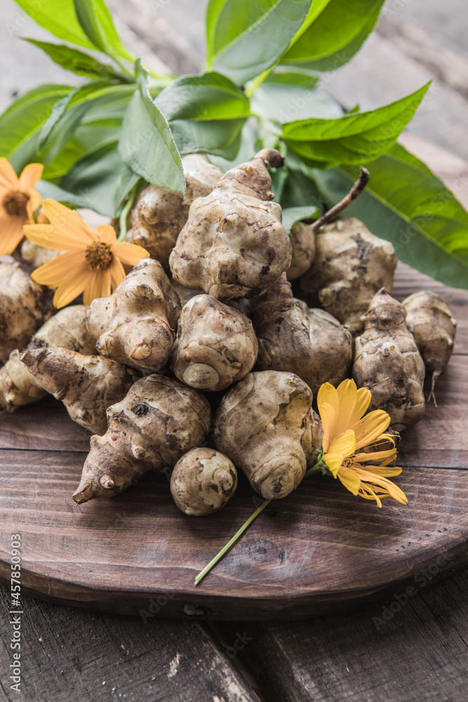 Jerusalem artichoke tubers. Freshly harvested roots of Helianthus ...