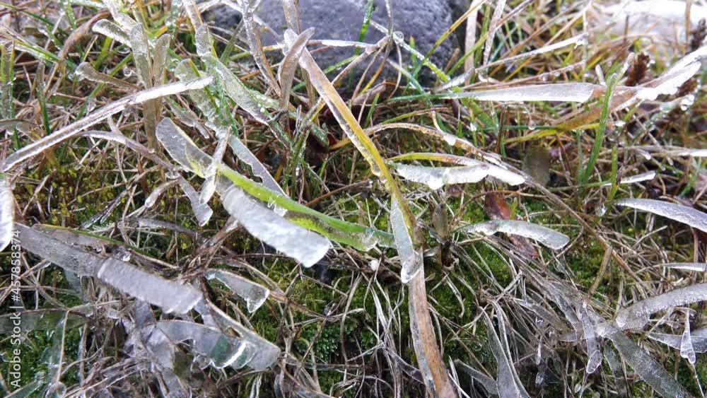 Meteorological phenomena. Precipitation types. After the freezing rain ...