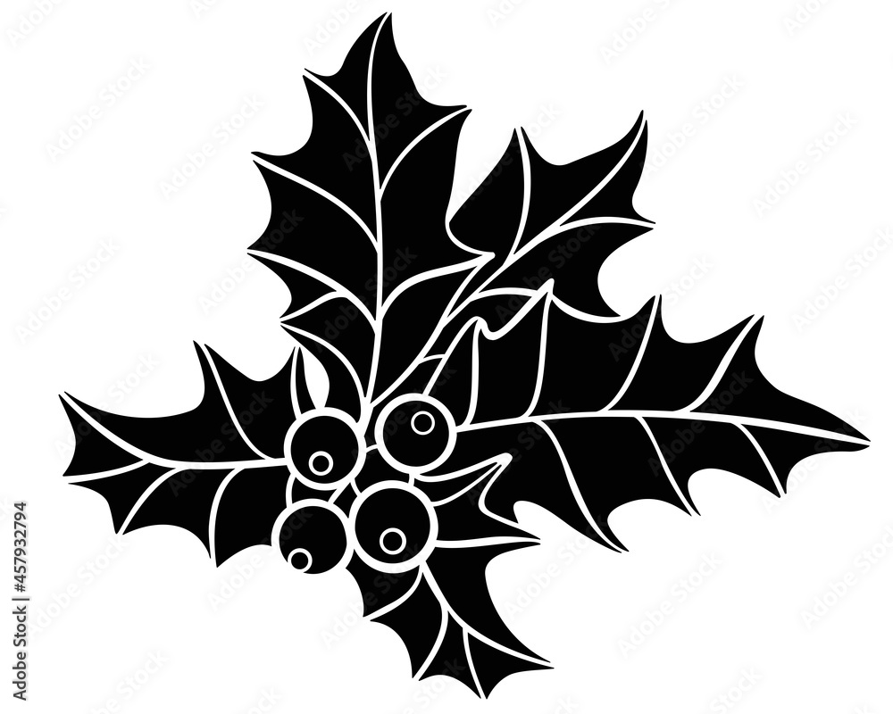 Holly - Berries and Leaves - vector silhouette illustration for logo or ...